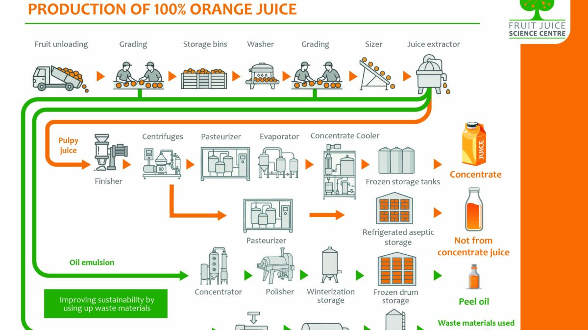 From orchard to glass: what really happens when 100% orange juice is ...