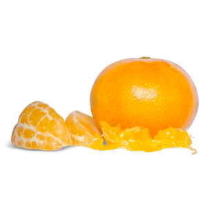 Orange pulp cells suppliers | Zumos Valencianos del Mediterráneo